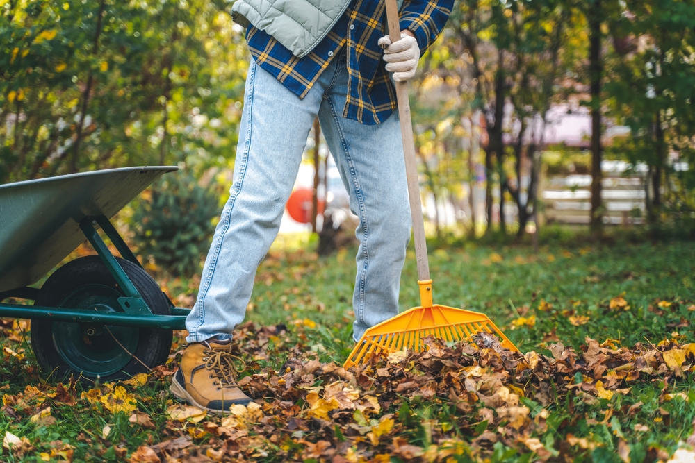 Fall Maintenance Checklist - REInsurePro